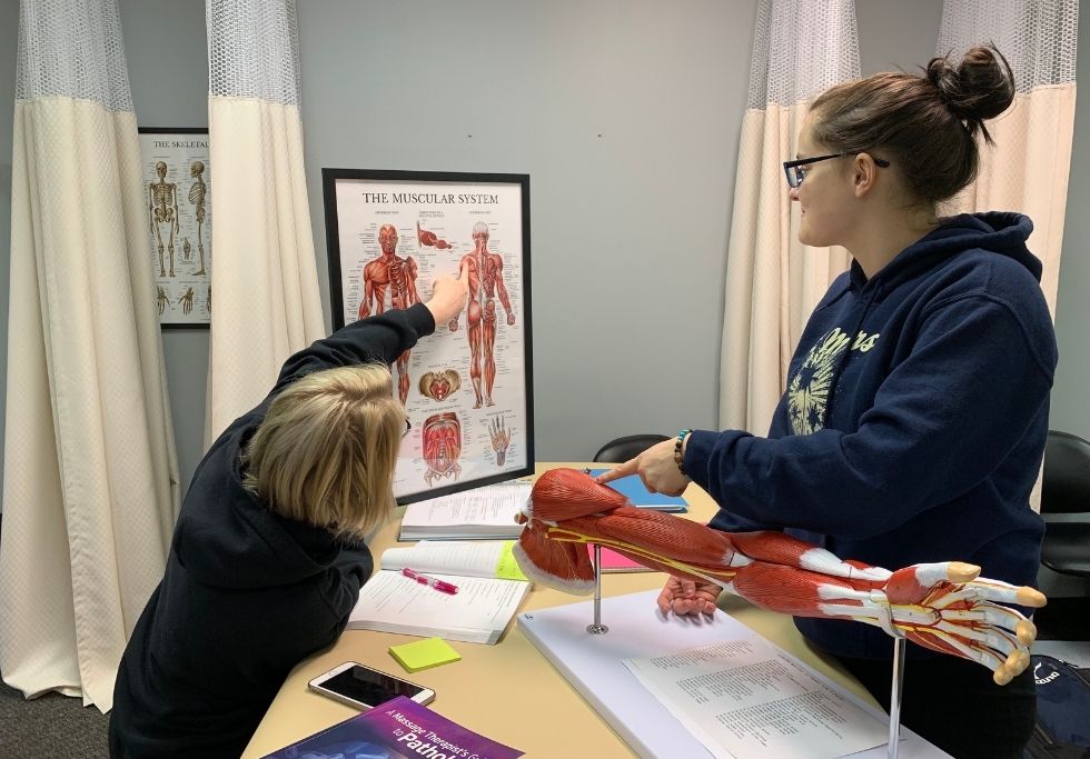 Why Anatomy Is Important In Massage Therapy PMA Why Anatomy Is Important In Massage Therapy PMA
